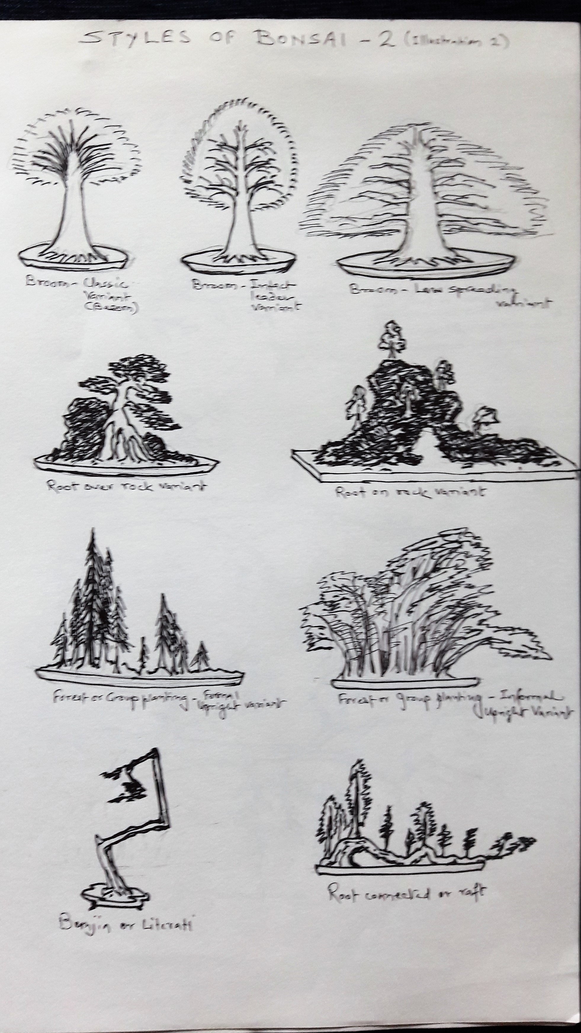 SERIOUS ABOUT CULTIVATION OF BONSAI – Rucha Bonsai